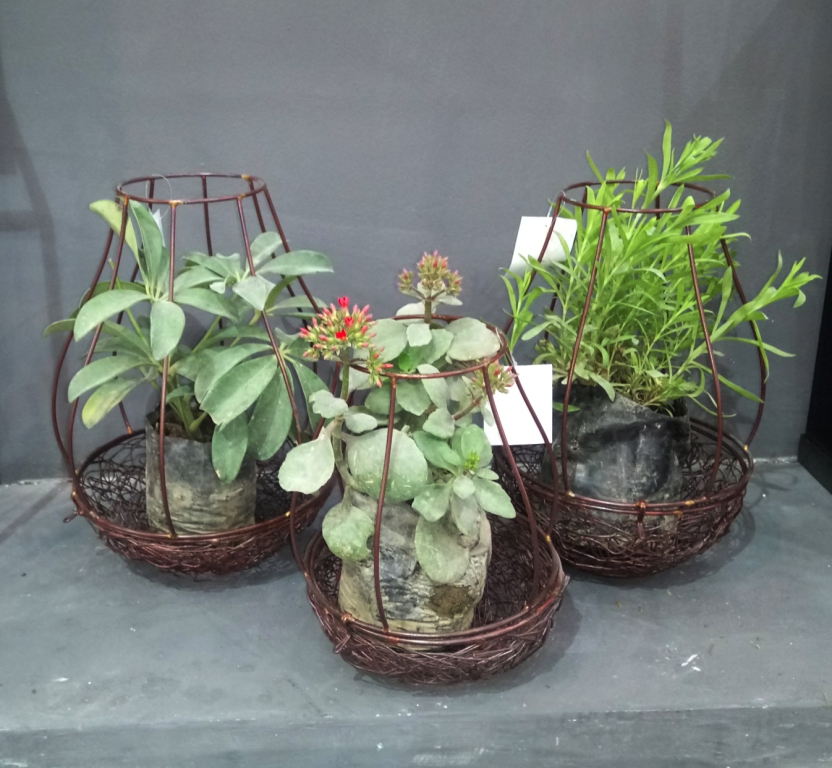 Planters – Décor And More