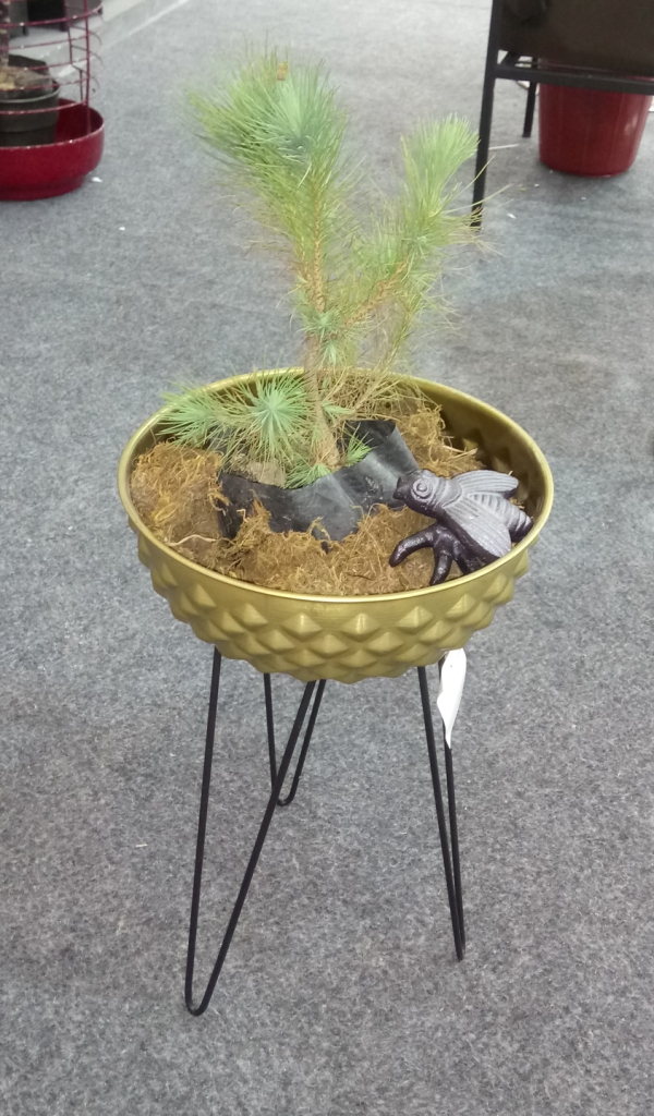 Planters – Décor And More